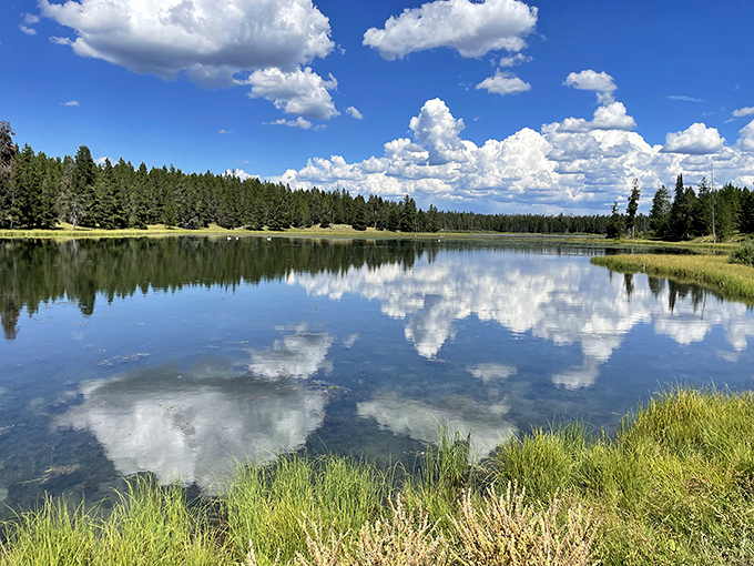 Harriman's mirror-like waters double the sky's drama, creating the perfect Bob Ross moment you didn't know Idaho was hiding.
