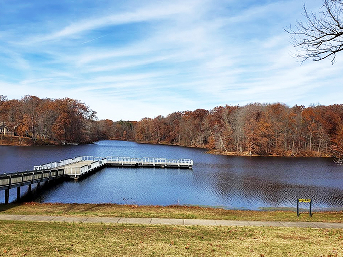 Nature's red carpet treatment! This wooden walkway invites you into Shakamak's emerald embrace like a VIP entrance to Mother Nature's finest establishment.