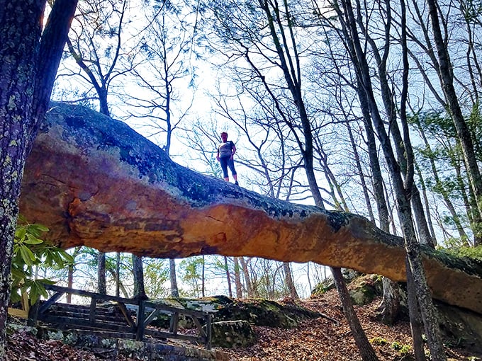 Stone pillars frame nature's masterpiece at Kingdom Come's overlook. The Appalachian Mountains roll away like waves frozen in time, a sight worth every step of the climb. 