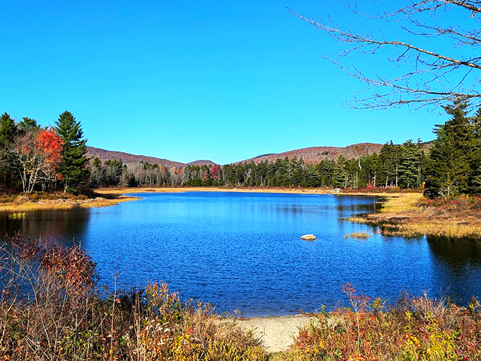 Mirror, mirror on the pond! Pillsbury's glassy waters create perfect reflections of autumn's fiery palette, nature's own Instagram filter at work.