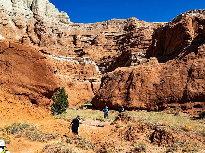Nature's skyscrapers reach for that impossibly blue Utah sky, while juniper trees add splashes of green to this geological masterpiece.