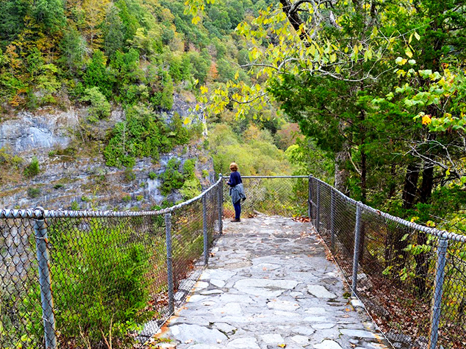 Autumn's kaleidoscope unfolds as a visitor soaks in million-year views from Natural Tunnel's stone pathway overlook.
