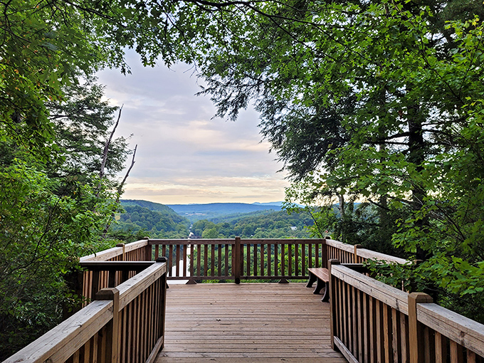 The James River winds like nature's blue ribbon through Virginia's countryside, offering a view that makes smartphone wallpapers jealous.