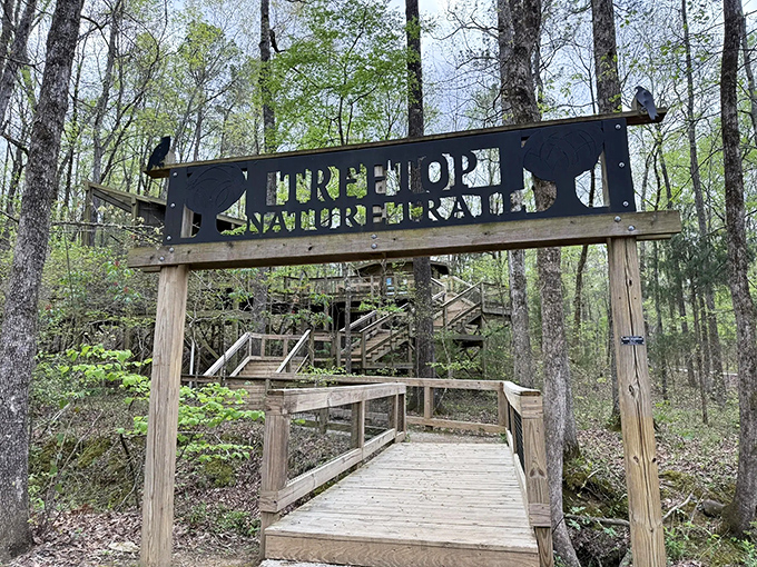 The wooden welcome sign stands like nature's invitation card, promising wild encounters with "live raptors" just steps away from civilization.