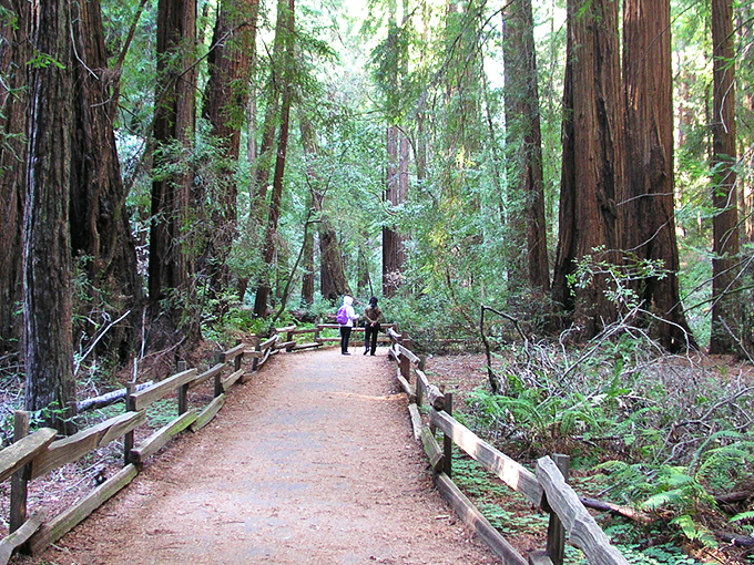 Muir Woods welcomes hikers with rustic charm and the promise of ancient redwoods waiting just beyond the wooden archway.