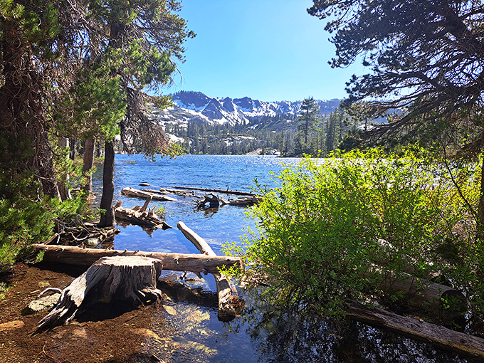 Nature's perfect postcard: a serene alpine lake reflecting the rugged peak above, where the Sierra Nevada shows off without even trying.