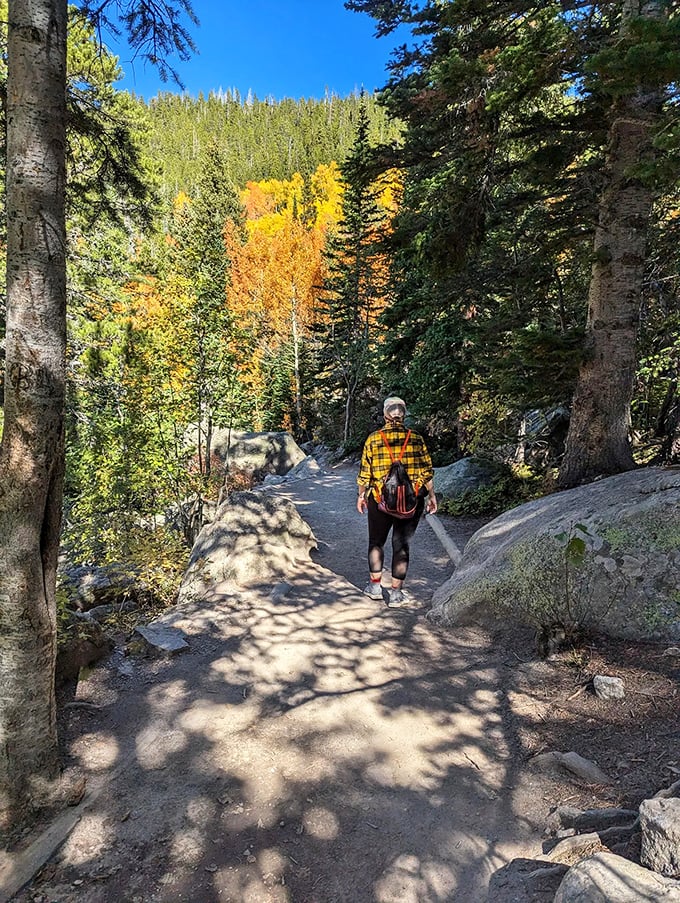 Fall's golden touch transforms this trail into nature's runway. The well-maintained path invites even reluctant hikers to strut their stuff.
