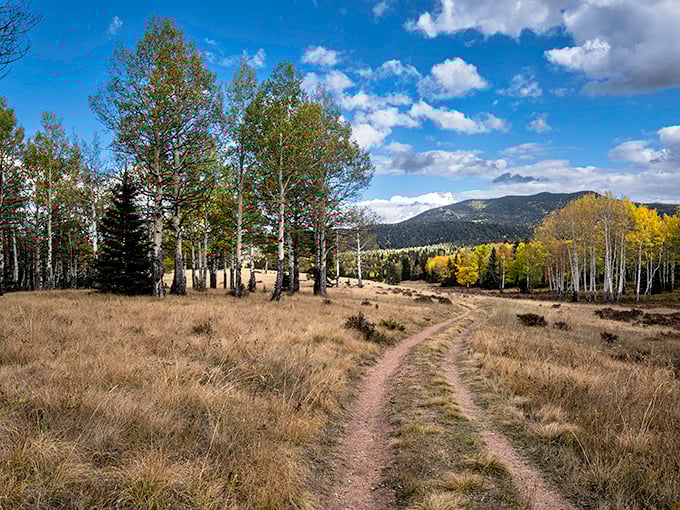 Where heaven meets earth: Mueller State Park's panoramic vistas make you feel like you've stumbled onto a movie set where clouds dance below mountaintops.