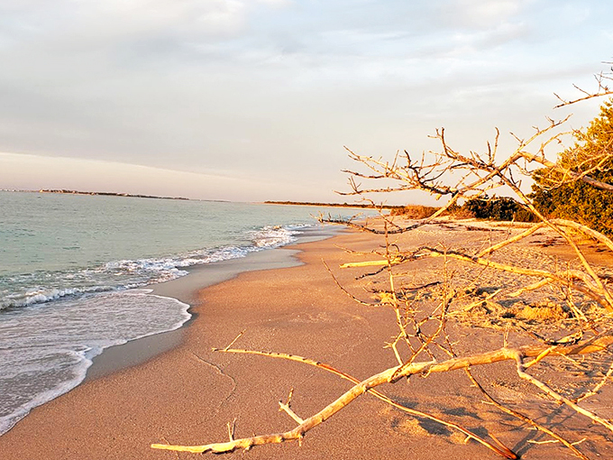 Miles of pristine shoreline stretch before you, with just one solitary beachcomber in the distance. Social distancing before it was mandatory!