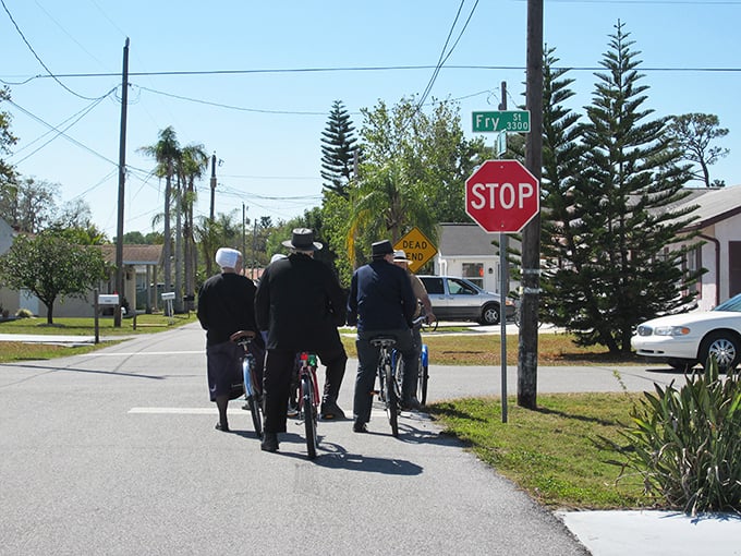 Where palm trees meet prayer caps: A resident navigates Pinecraft's quiet streets on a three-wheeled bicycle, the preferred transportation in this unique Amish-Mennonite enclave.