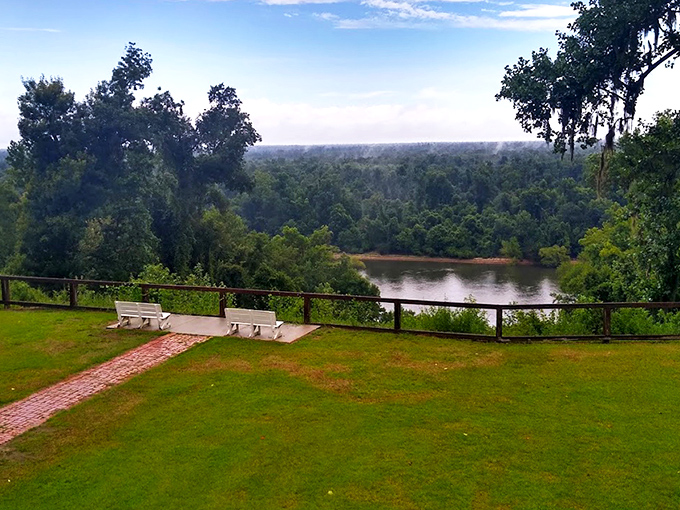 The view that makes you question your GPS. Torreya's sweeping panorama of the Apalachicola River valley feels more like Appalachia than Florida.