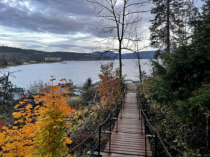 Nature's balcony overlooking Lake Coeur d'Alene, where every turn offers another "I should frame this" moment. The postcard view that actually exceeds expectations.