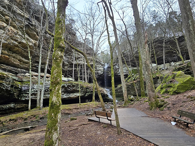 Nature's amphitheater reveals itself at Big Rocky Hollow, where towering sandstone walls embrace hikers in geological splendor.