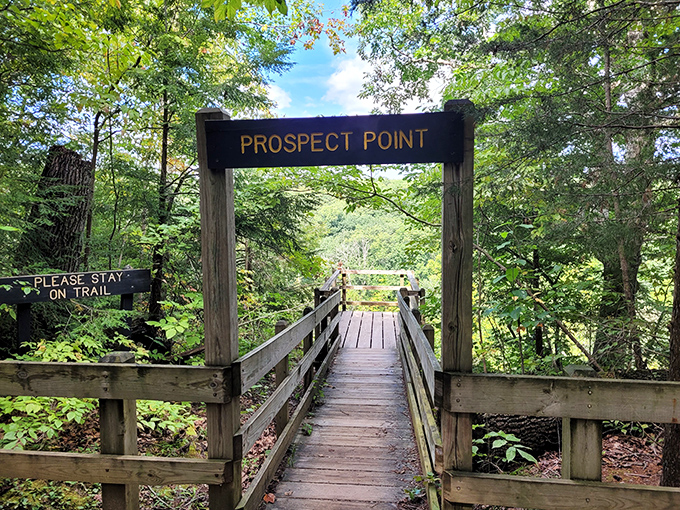 Prospect Point beckons adventure seekers through its wooden gateway, promising views that'll make your Instagram followers think you've left Indiana completely.