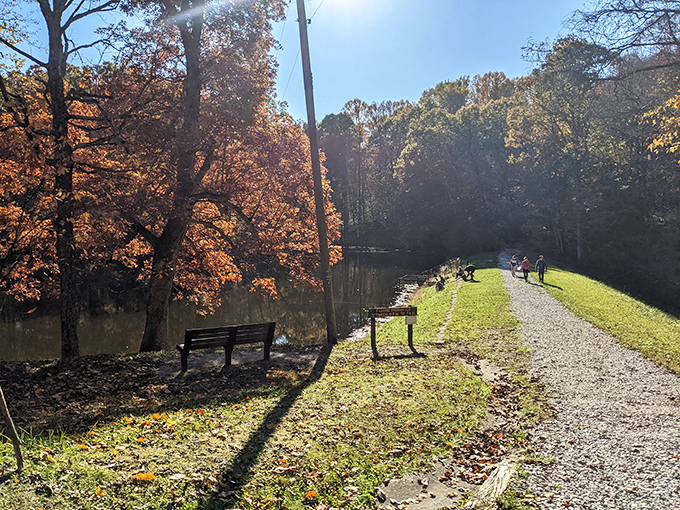 Autumn's fiery display meets peaceful pathways at Shades State Park, where nature's theater invites you to take a seat.