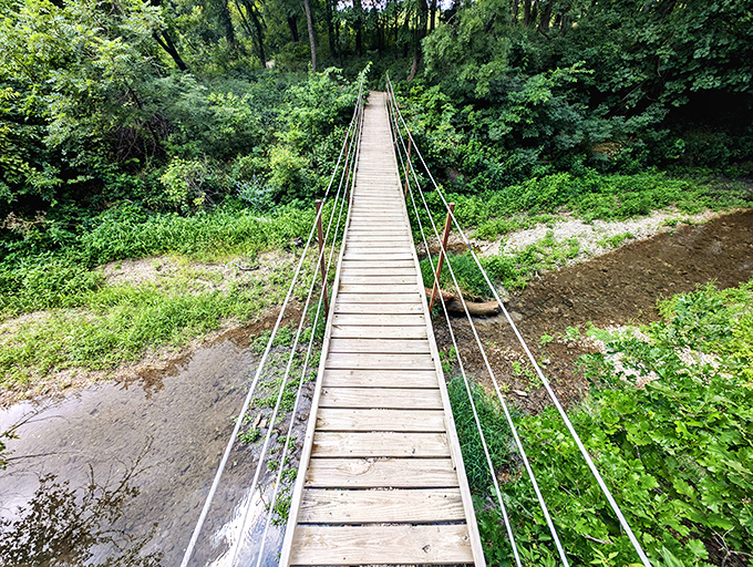 The suspension bridge at Konza Prairie isn't just a crossing&mdash;it's nature's way of saying "the adventure starts now." Wooden planks lead you into a verdant wonderland.