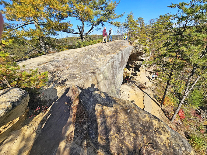 Walking on Sky Bridge feels like strolling across nature's own suspension bridge, minus the swaying and existential dread. Pure sandstone magic beneath your feet!