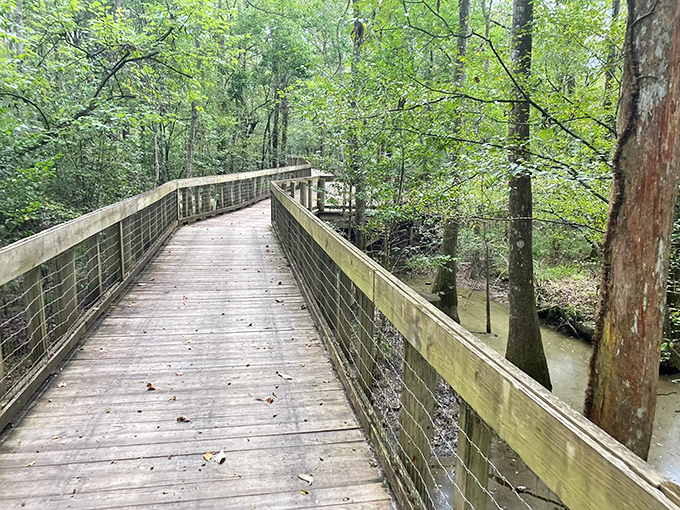 The suspension bridge at Tickfaw beckons like a portal to another world, where the only decision is whether to cross it or photograph it first. 