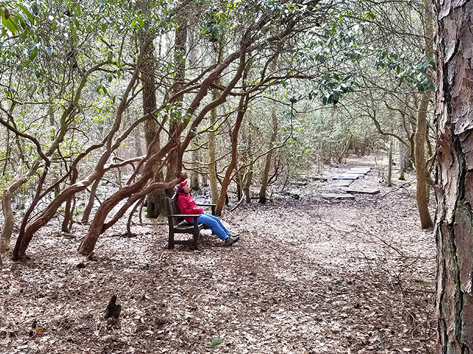 Mother Nature's mirror game is unbeatable here, where the sky and trees create perfect reflections that would make Narcissus jealous.