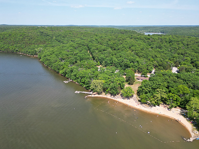 Nature's perfect balance: towering trees frame the sandy shoreline while gentle waves invite visitors to wade into the clear blue waters of this hidden paradise.