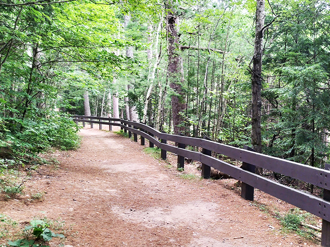 Towering pines create nature's perfect colonnade along Echo Lake's shoreline, where sandy paths and peaceful waters meet in perfect harmony.