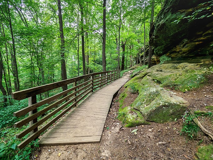 Nature's welcome mat unfurls before you on Ledges Trail, where sunlight plays hide-and-seek through the canopy and adventure beckons around every bend.