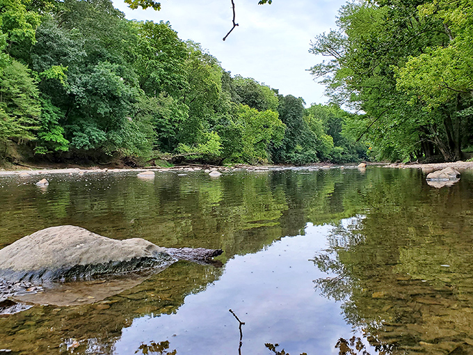 Mirror-like waters invite contemplation at one of Sycamore's serene fishing ponds. Nature's own infinity pool, minus the resort prices.