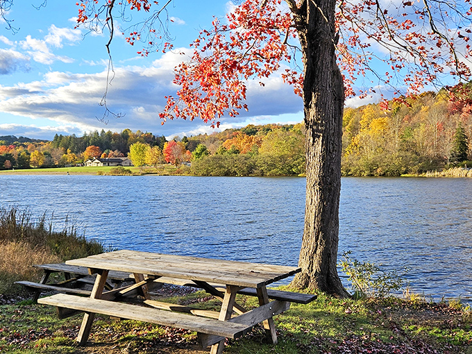 Nature's perfect pairing: a serene lakeside picnic spot where time slows down and reflections double the beauty of Oklahoma's wooded hills.