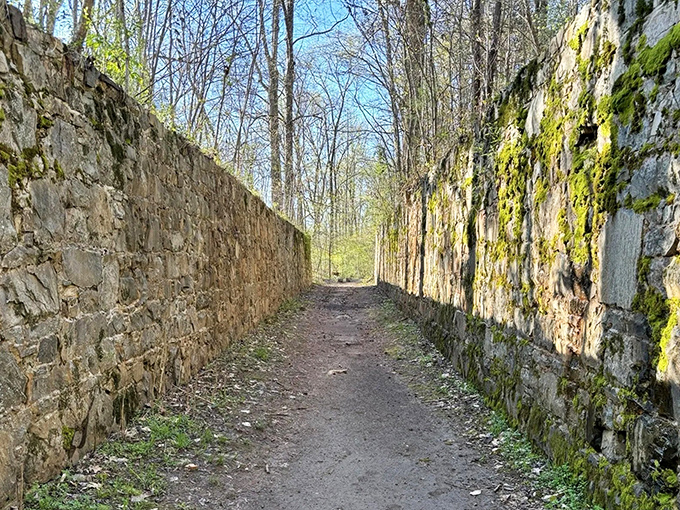 History flows between these ancient stone walls like whispers from the past&mdash;a perfect canal corridor for hikers and time travelers alike.