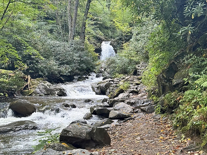 Nature's perfect symphony in motion - rushing water carving through ancient stone as sunlight filters through a green canopy. Tennessee's Great Smoky Mountains at their most poetic.