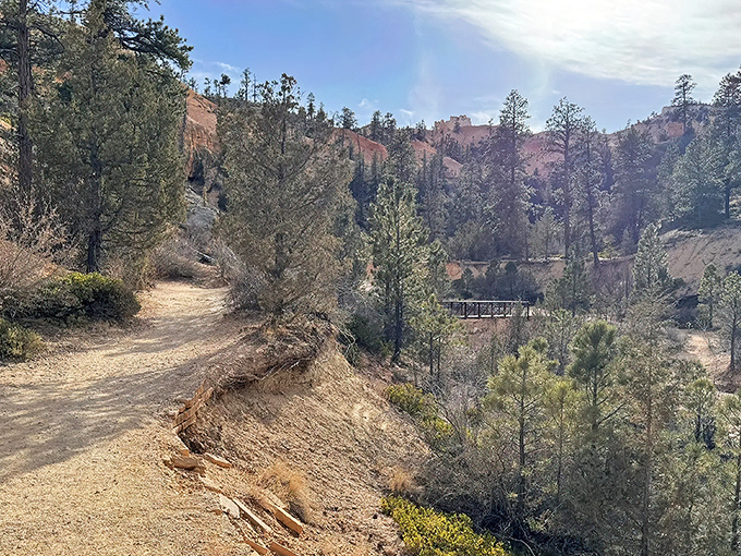 Nature's perfect welcome mat: an untraveled path leading to towering hoodoos that look like they've been painted by a sunset-obsessed artist.