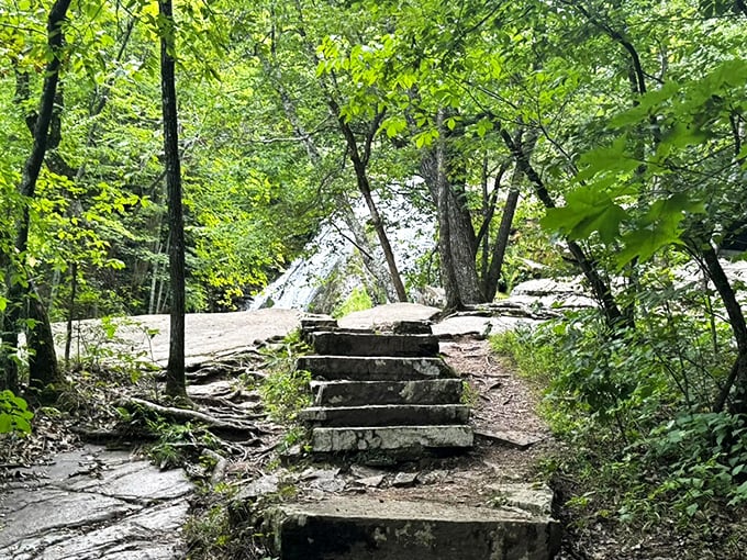 Ancient stone steps beckon through a verdant canopy, promising Roaring Run's cascading reward just beyond the sunlit clearing.