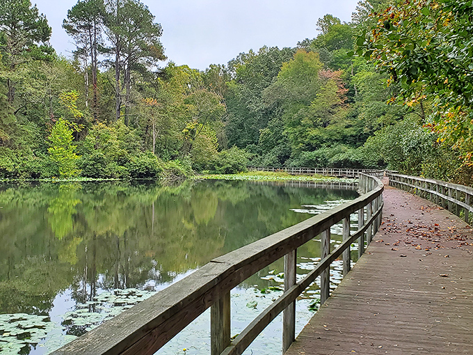The James River winds like nature's blue ribbon through Virginia's countryside, offering a view that makes smartphone wallpapers jealous.