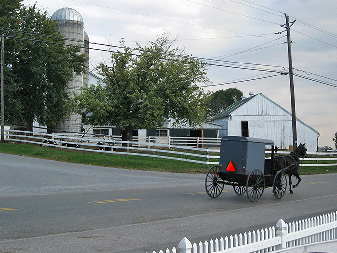 Where horse-drawn buggies and modern vehicles share the road in perfect harmony. A typical scene in Intercourse, where time moves at its own gentle pace. 