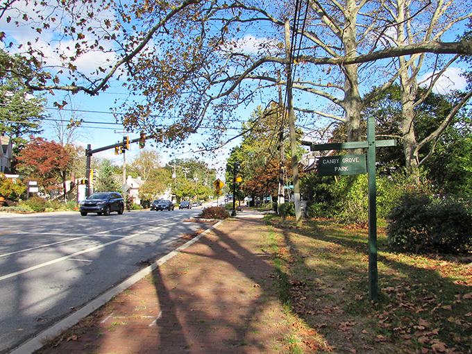 Nature's perfect little waterfall moment. This tranquil stream in the Brandywine Valley is like Mother Nature's version of a spa day. 