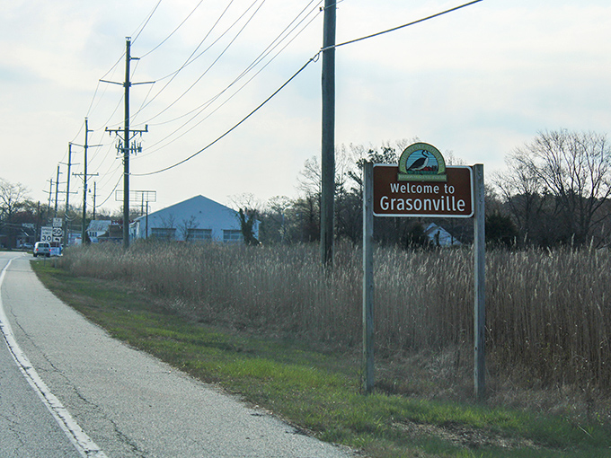 Welcome to Stevensville, where small-town charm meets Eastern Shore hospitality. The journey along the byway begins with these unassuming gateways to Maryland's hidden treasures.