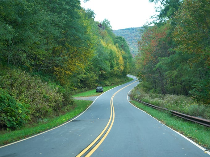 The Cherohala Skyway curves gracefully through autumn's explosion of color, nature's own masterpiece unfolding where North Carolina meets Tennessee's mountainous border.