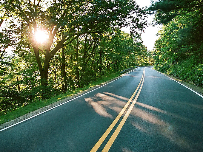 Winding through a cathedral of trees, Skyline Drive's curves aren't just roads&mdash;they're narrative arcs in nature's greatest story. Pure Virginia magic at 35 mph.