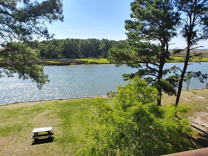 Where land meets water in perfect harmony. Janes Island offers picturesque waterfront views that make you wonder why you ever bothered with Caribbean vacations.