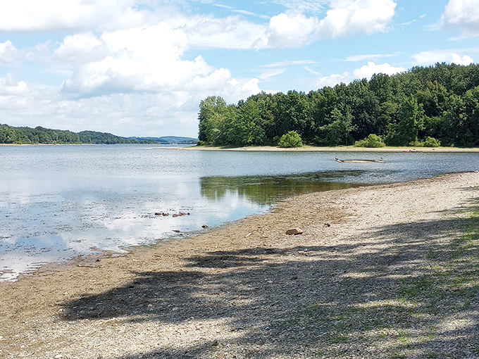 Nature's perfect gathering spot: a flock of geese enjoying Lake Marburg's pristine waters while farmland rolls gently in the background. 