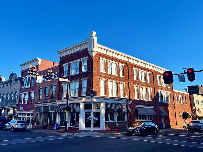 Downtown Culpeper looks like a movie set where the director said, "Make it charming, but add extra charm." Those historic buildings house culinary treasures waiting to be discovered.