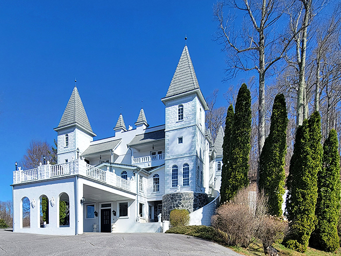 Like a mirage rising from the Blue Ridge Mountains, Smithmore Castle's striking white exterior and elegant turrets create a stunning European fantasy in rural North Carolina.