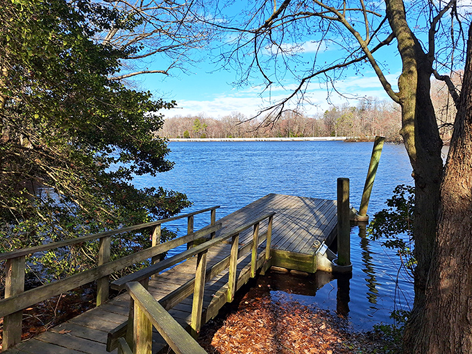 An aerial paradise that proves Delaware hides its best secrets in plain sight. The colorful boat dock beckons water lovers to dive into adventure.