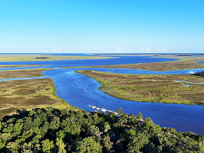 The golden-blue tapestry of Fort McAllister's salt marshes stretches toward the horizon, where history and natural beauty seamlessly merge.