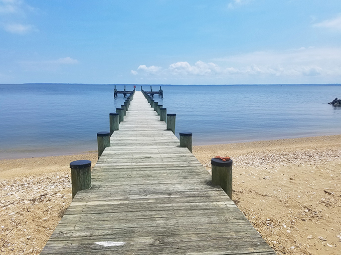 The wooden pier stretches toward St. Clement's Island like a time-travel portal, inviting you to step back to where Maryland's story began.