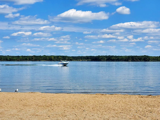 Autumn's paintbrush transforms Alum Creek into a masterpiece of gold and amber, reflecting in waters so clear you'd swear Mother Nature was showing off.