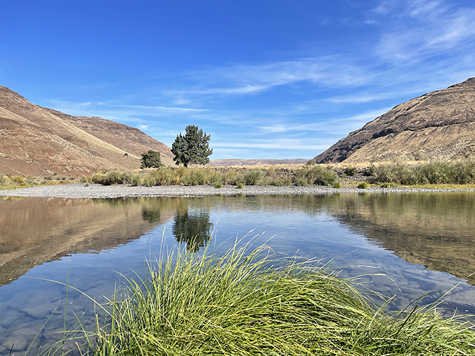 The John Day River mirrors the rugged canyon walls like nature's own infinity pool, creating a moment of perfect symmetry in Oregon's high desert wilderness. 
