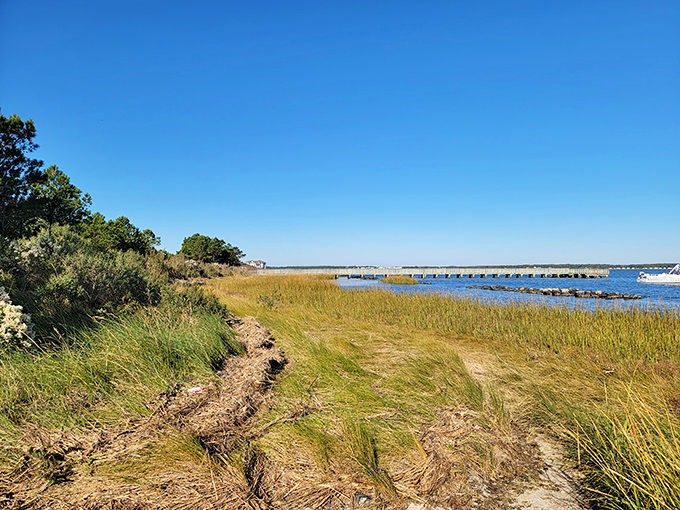 Nature's runway: Where the only traffic is a family of ducks waddling across your path.