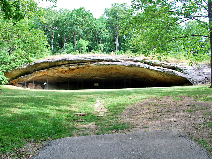 A mysterious cave beckons, promising adventure and prehistoric secrets. Indiana Jones, eat your heart out!