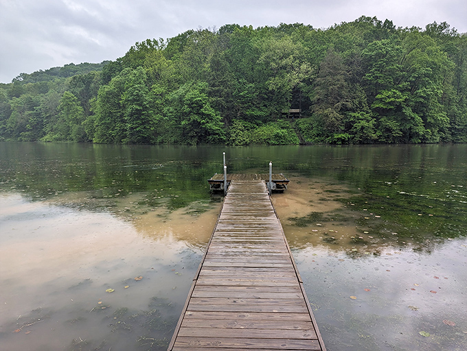 Nature's mirror: Jefferson Lake reflects the sky like a landscape painter's dream come true. Who needs Instagram filters when you've got this view?